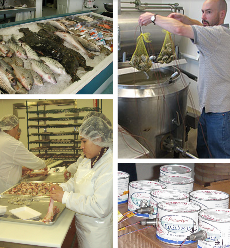 Seafood Science | Center for Marine Sciences and Technology (CMAST)