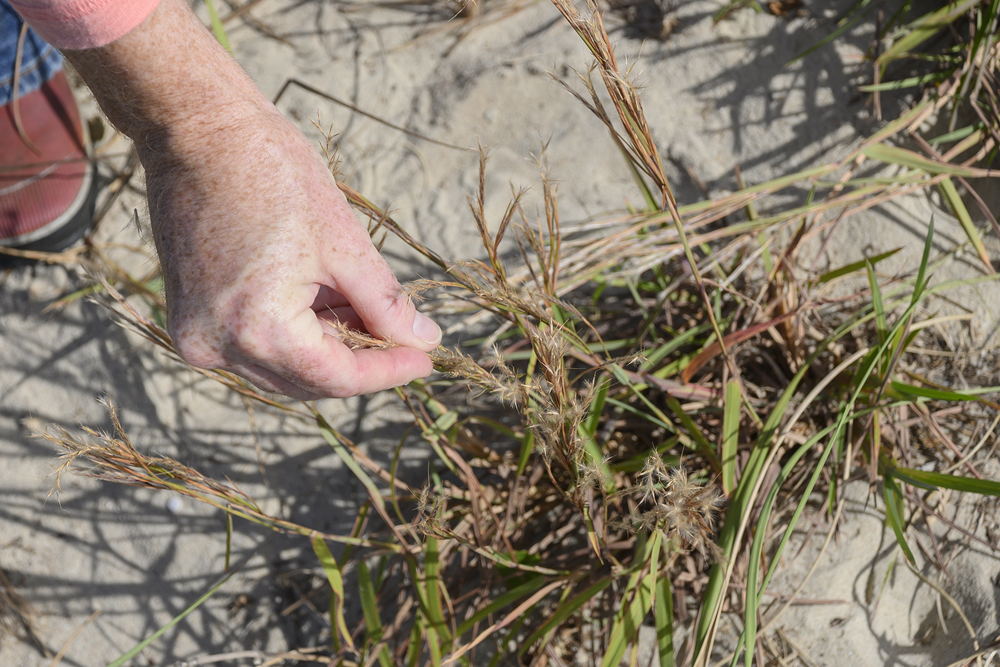 Crystal Skipper | Center for Marine Sciences and Technology (CMAST)