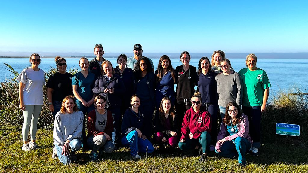 NC State College of Vet Med provides student training combined with ...