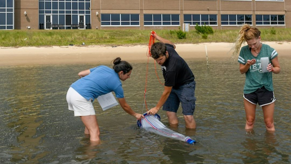 Summer Intern Applications Open! | Center for Marine Sciences and ...